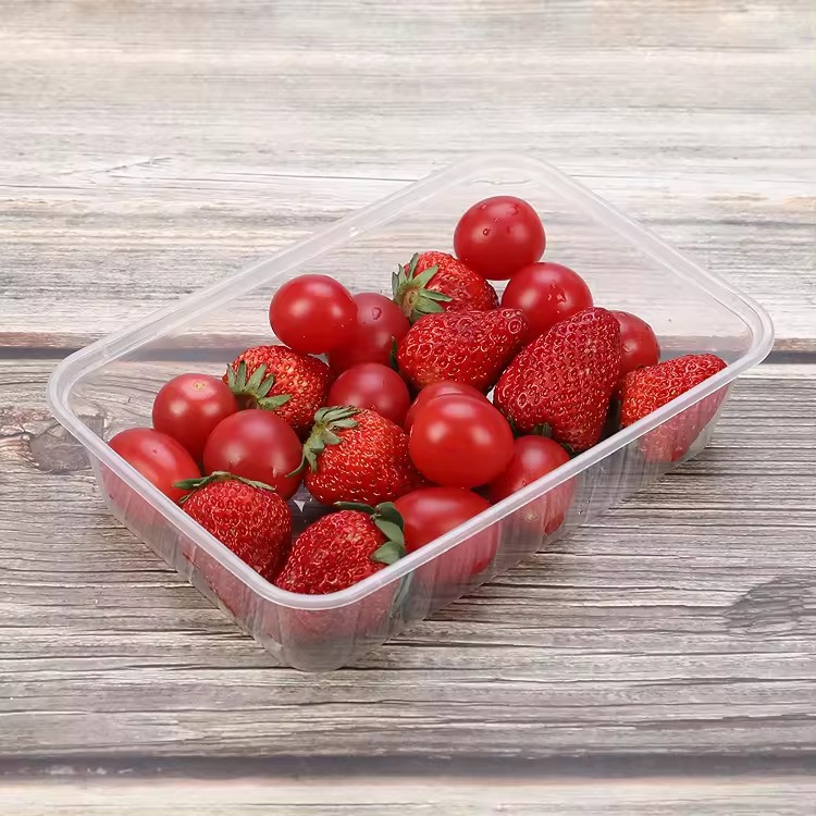 Disposable plastic single cell food container